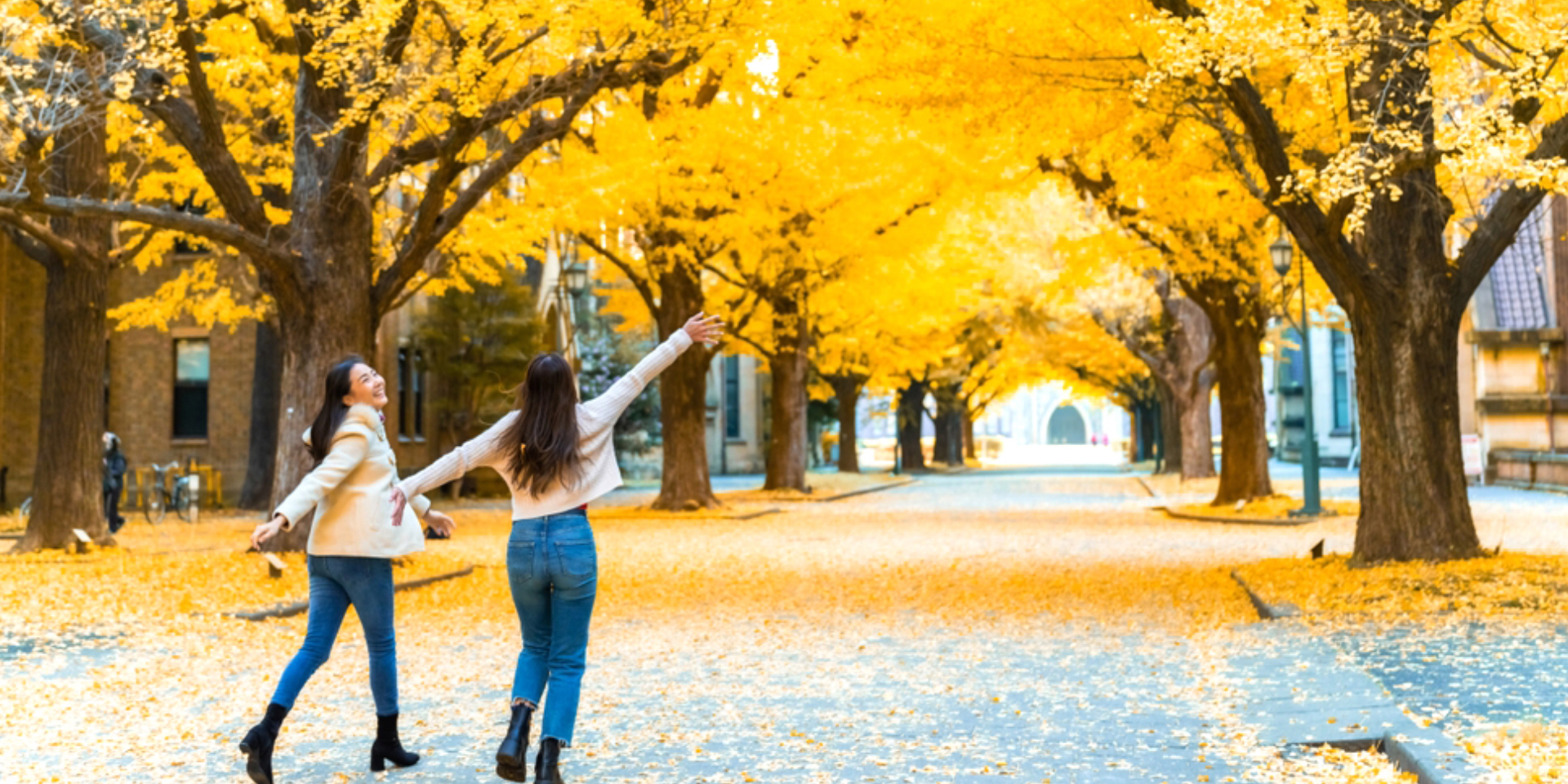 A Comprehensive Guide to AIG Travel Insurance Japan