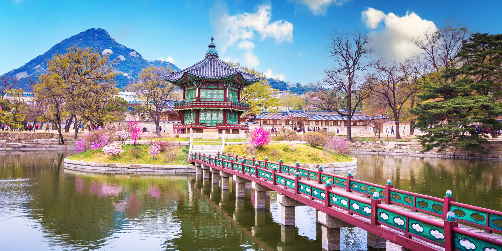 Best Travel Insurance South Korea: A Guide for Safe