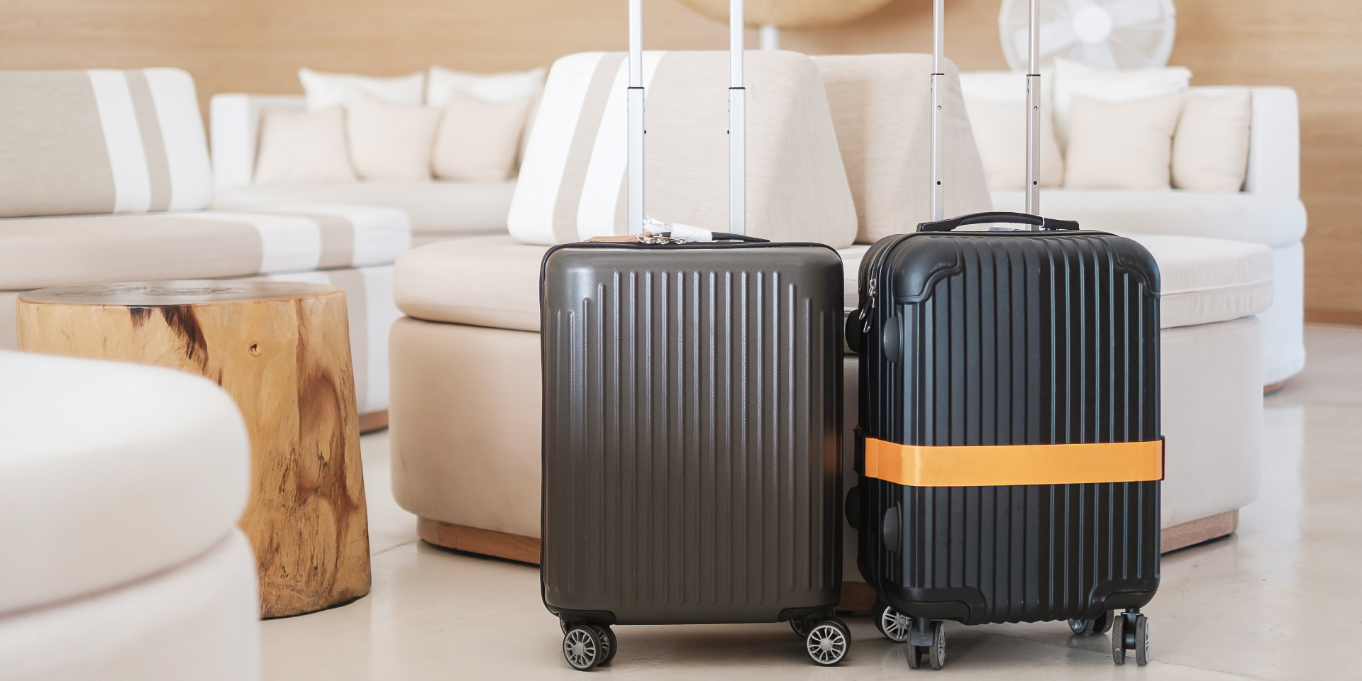 Secure Your Luggage: The Importance of Baggage Insurance for Domestic ...